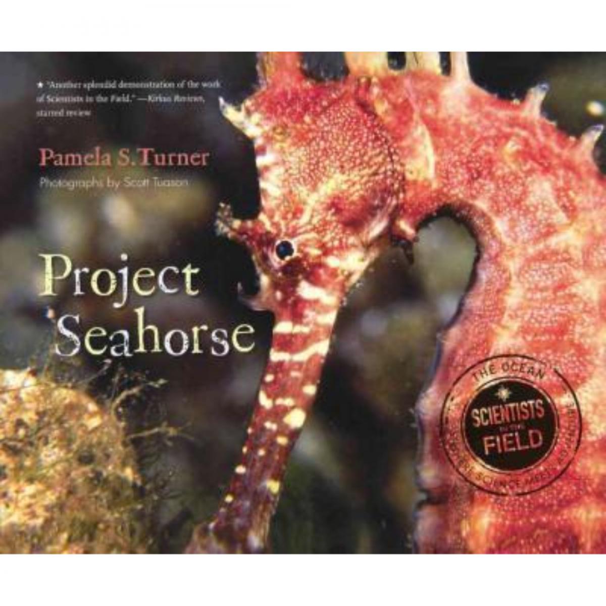 Project Seahorse | Read Pacific | Reading Books & Resources | Supplying ...