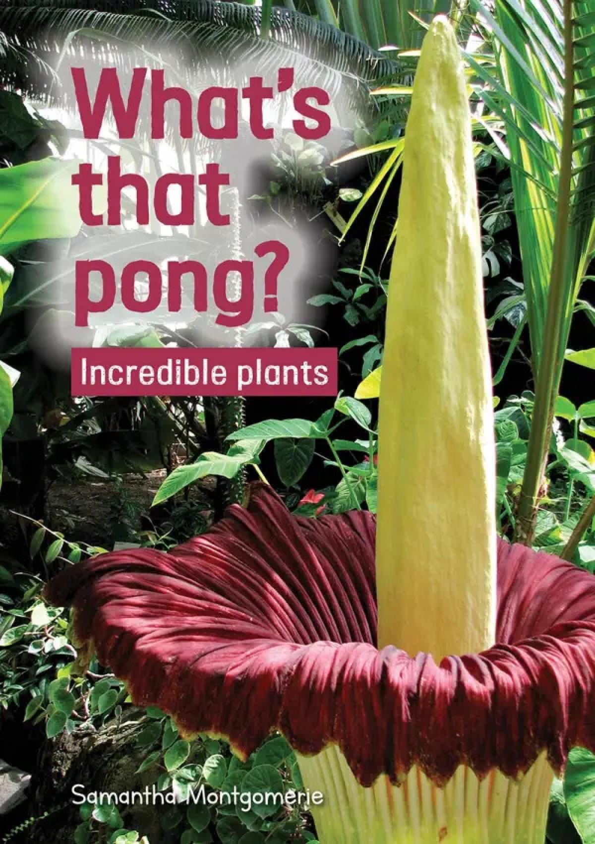 Reading Road Set 4 - What's that pong? Incredible plants | Read Pacific ...