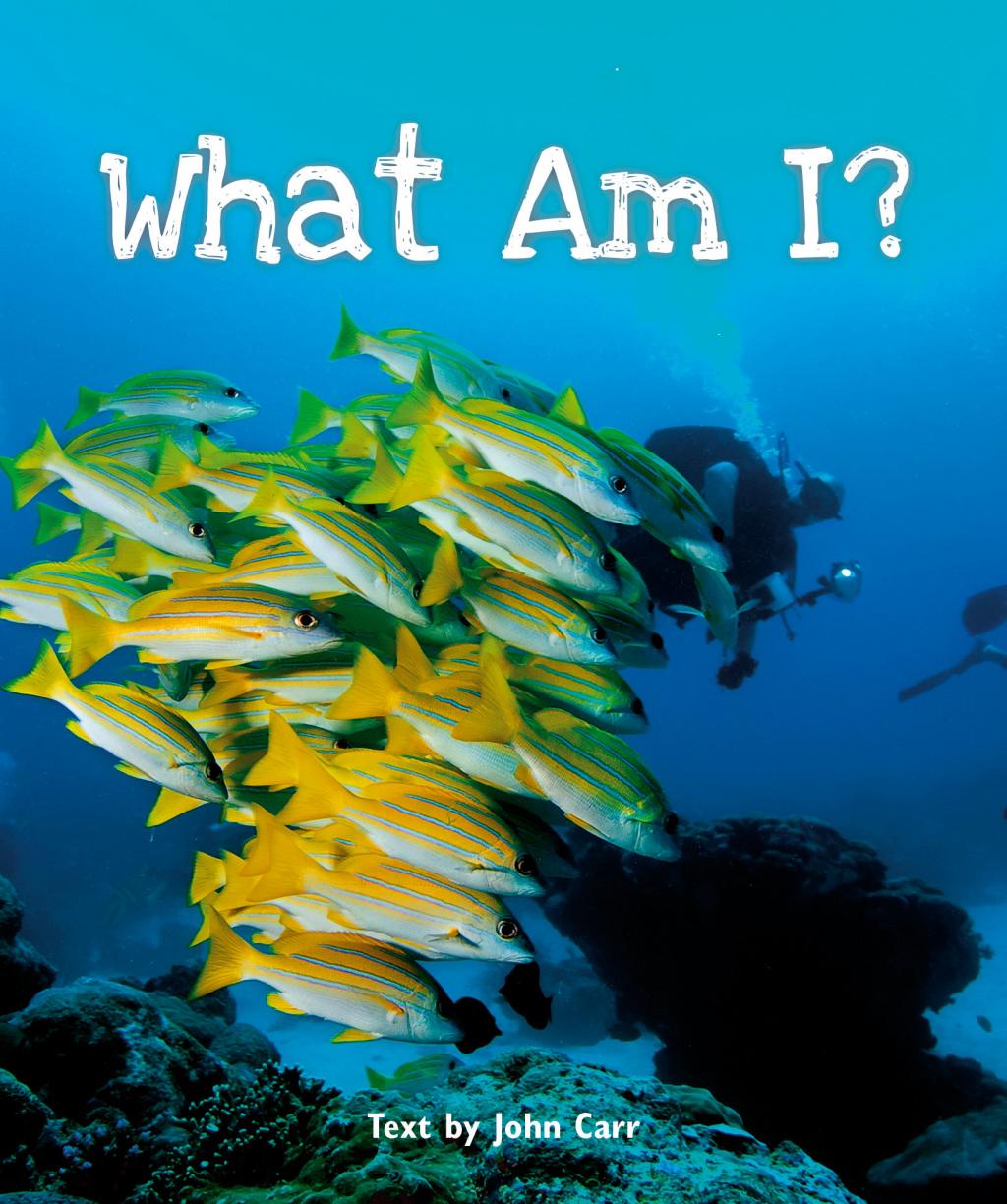 What Am I? Level 4 Sunshine Books | Read Pacific | Reading Books ...