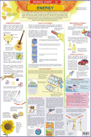 Physics Chart: Energy | Read Pacific | Reading Books & Resources ...